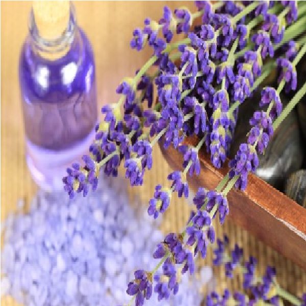 LAVENDER SCENT – HK CHIM